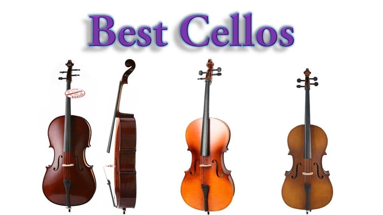 Cellos Reviews – Top 5 Best Cellos - YouTube