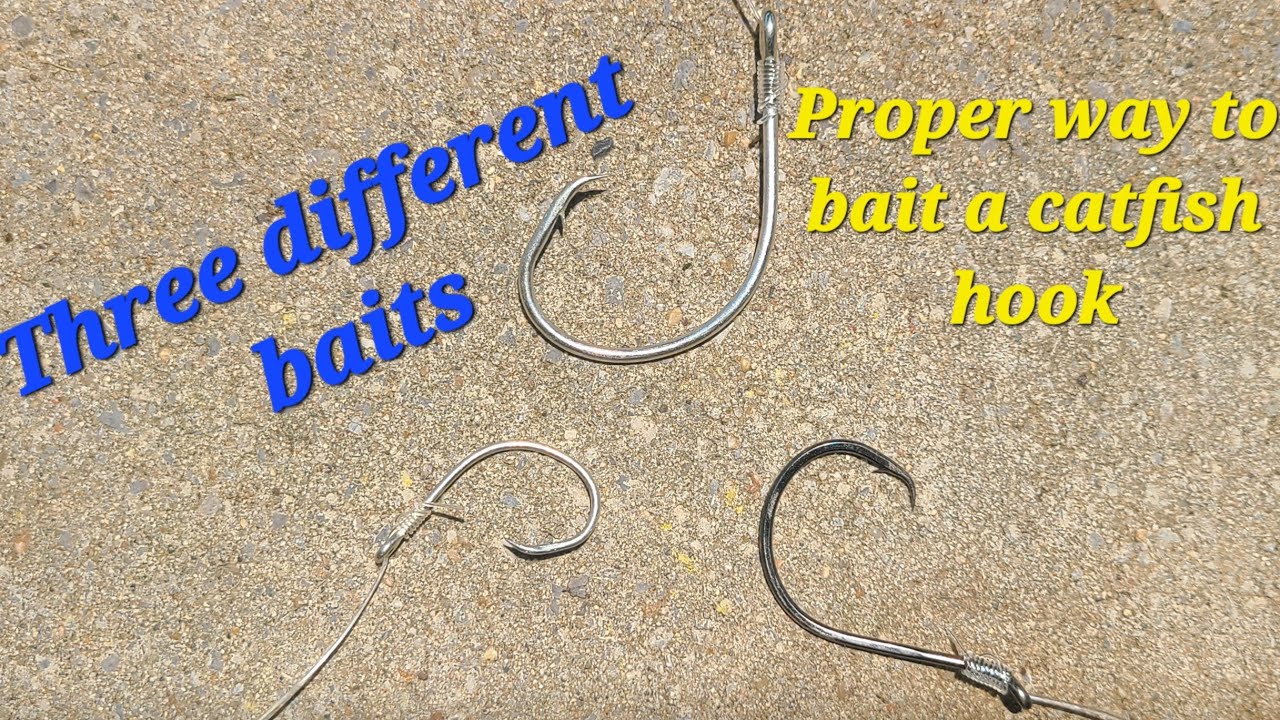 The Proper Way To Bait A Catfish Hook. How to bait a hook #youtubefishing #fishingtips - YouTube