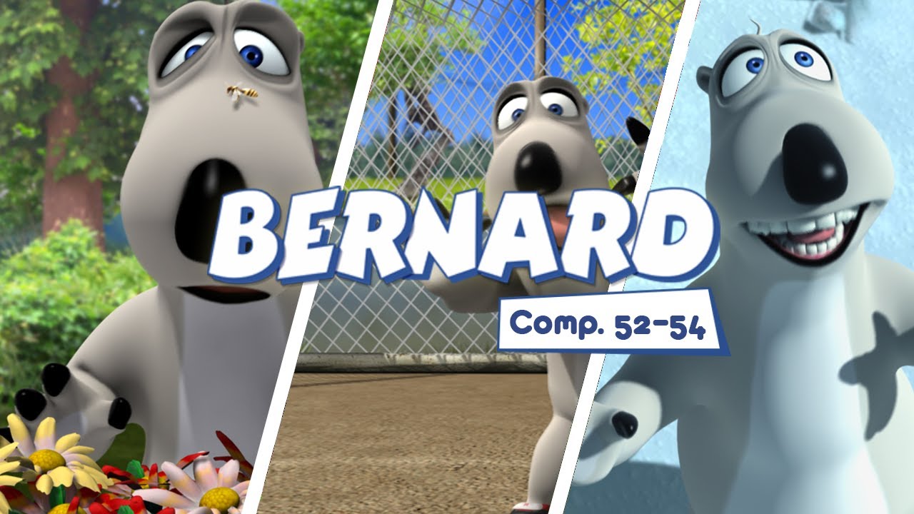 Bernard Bear - 52-54 | Compilation - YouTube