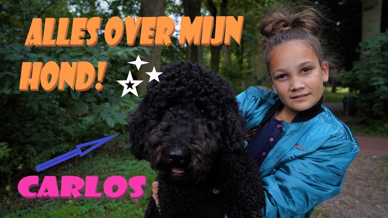 Alles over mijn hond! - YouTube