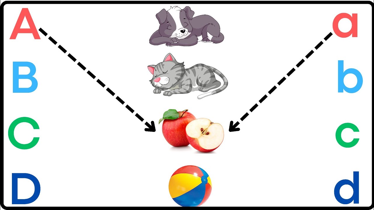 Match the Alphabets | English Alphabet A for apple | Match the letters ...