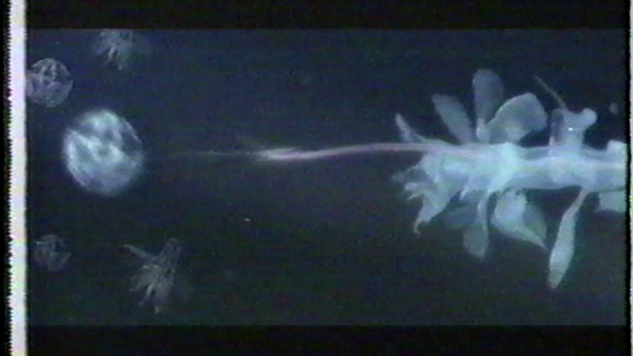 Sci Fi Channel ident bumper (2002) - YouTube