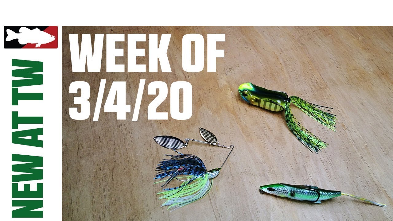 What's New at Tackle Warehouse w. Aaron Quarles - 3/4/20 - YouTube