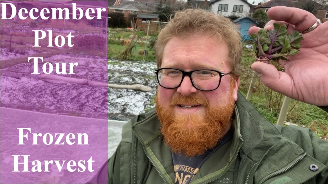 From Frost to Feast: Unexpected Winter Harvest! - YouTube