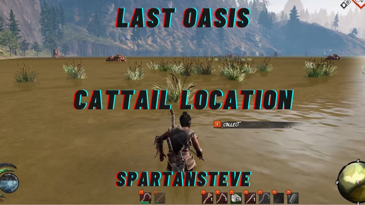 Last Oasis - Where to find Cattail and harvest - Walk Through - Guide ...