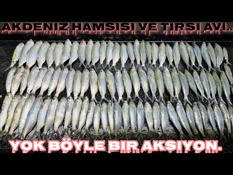 akdeniz hamsisi ve tirsi avı.çapari ile atçek..!!!