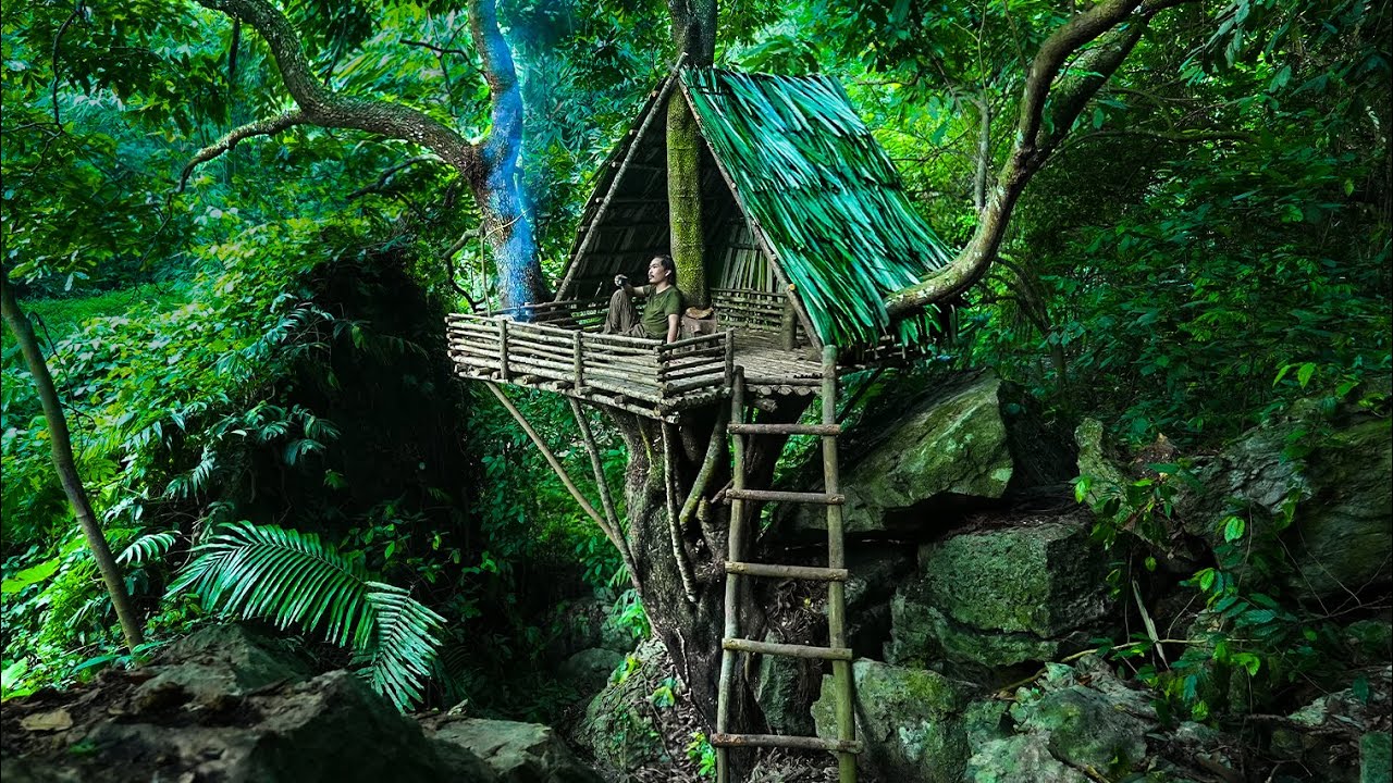 Skills for Building an Emergency Tree Shelter from Wild Animals - Start ...