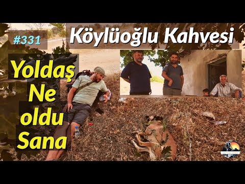 Kalk Be Yoldaş Gidelim ~331