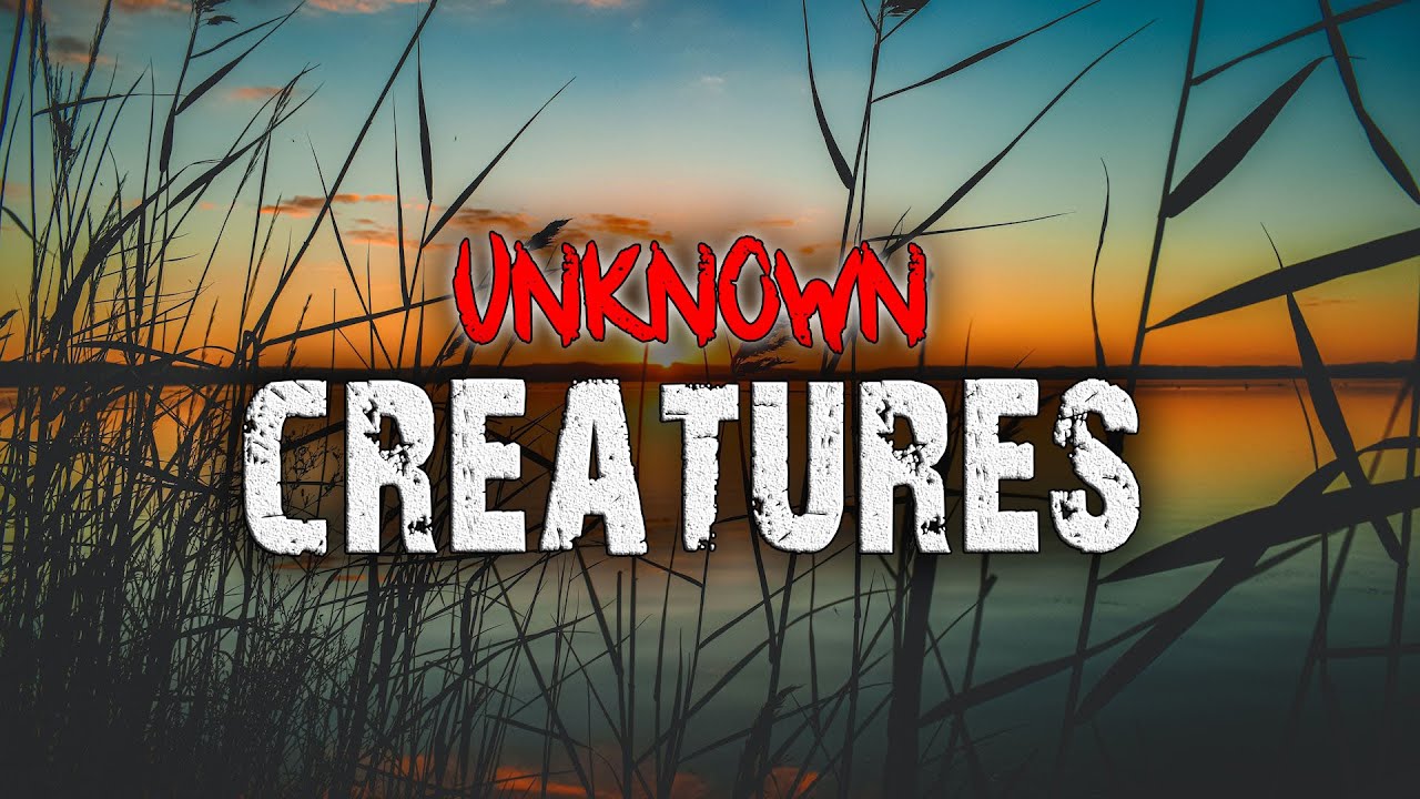 Absolutely HORRIFYING Encounters With Unknown Entities and CRYPTIDS ...