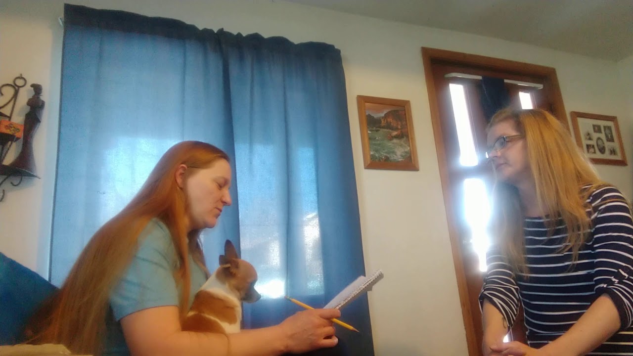 Job interview for Drug/alcohol counselor - YouTube