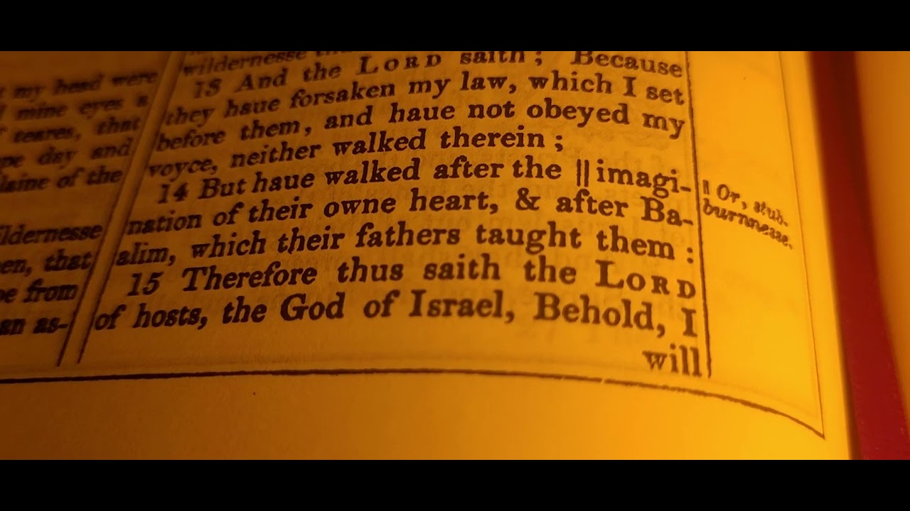 Jeremiah Chapter 9 - YouTube