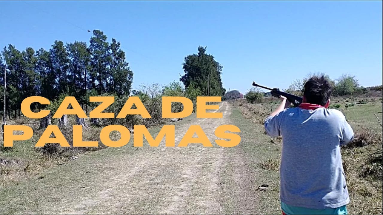 Cazando Palomas con Rifle NITRO-PISTÓN. - YouTube