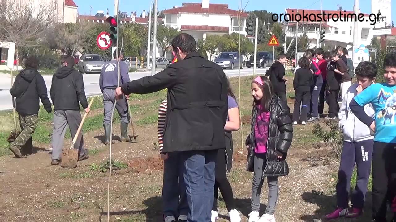 ΔΕΝΤΡΟΦΥΤΕΥΣΗ ΓΑΛΗΝΗΣ - YouTube