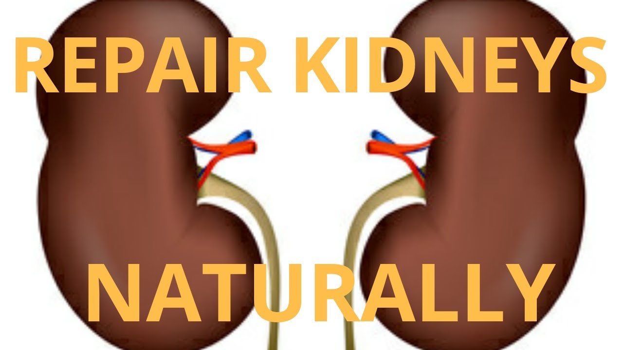 REPAIR KIDNEYS NATURALLY | ONE SIMPLE INGREDIENT - YouTube