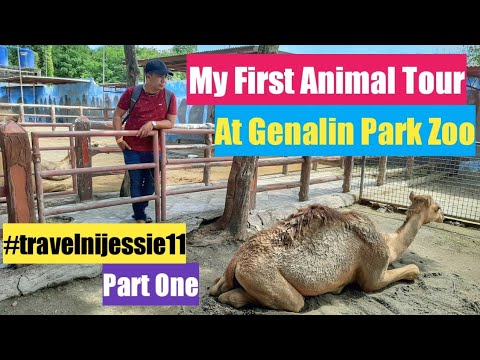 My First Animal Tour at Genalin Park Zoo, Tacurong City - Part One I ...