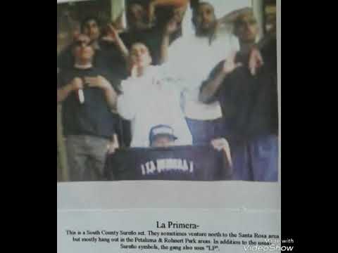 Osonegro -No witness - feat. Shadow , payaso