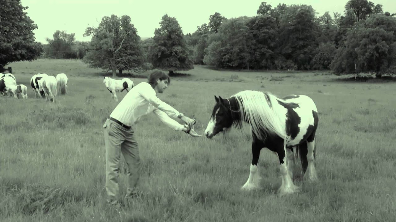 Riding Gypsy Wild Horses.mpg - YouTube