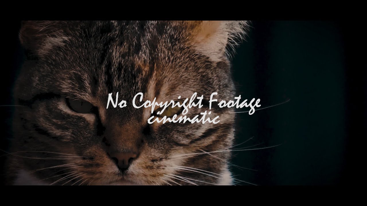 no copyright video || cinematic || just download and use it || for and ...