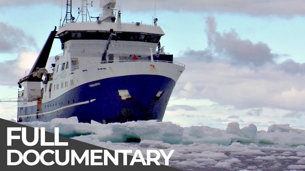 Expedition Antarctica Free Documentary - YouTube