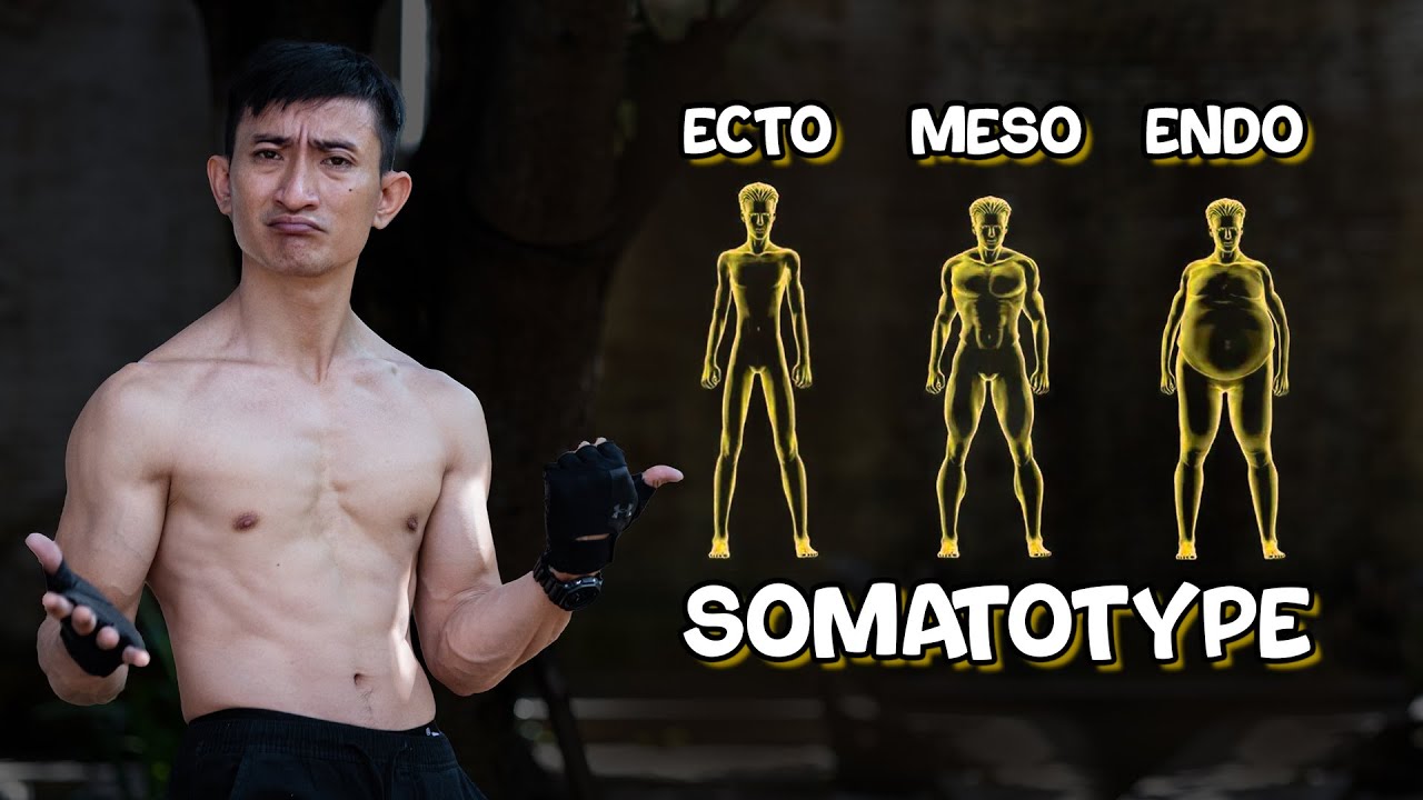Bentuk Tubuh GENETIK ?? MIKIR !! Ectomorph Mesomorph Endomorph | Somatotype Indonesia - YouTube