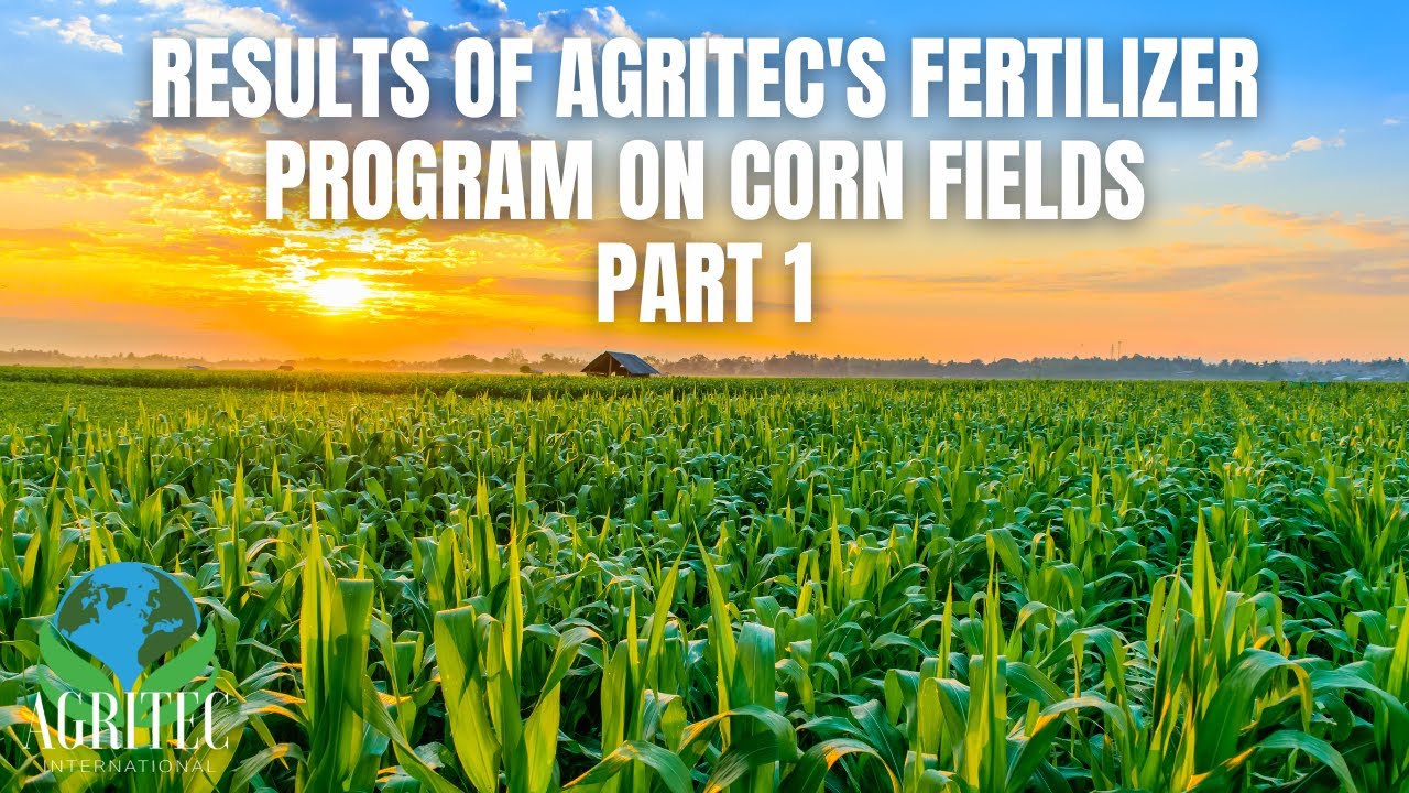 Results of AgriTec's fertilizer program on this corn field | Pt. 1 ...