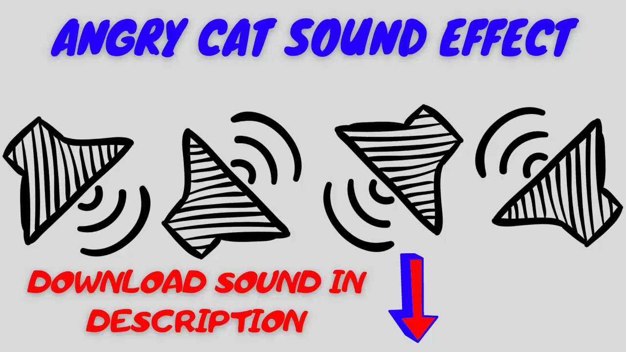 Angry cat sound effect - YouTube