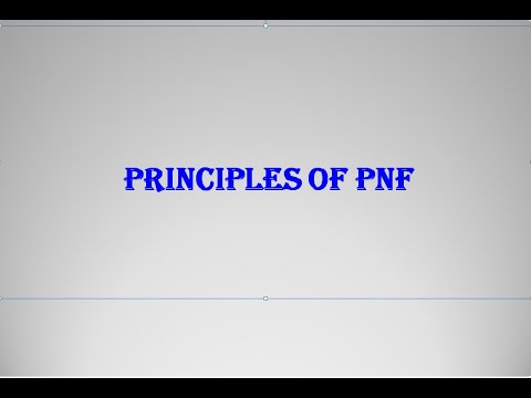 PRINCIPLES OF PNF - YouTube