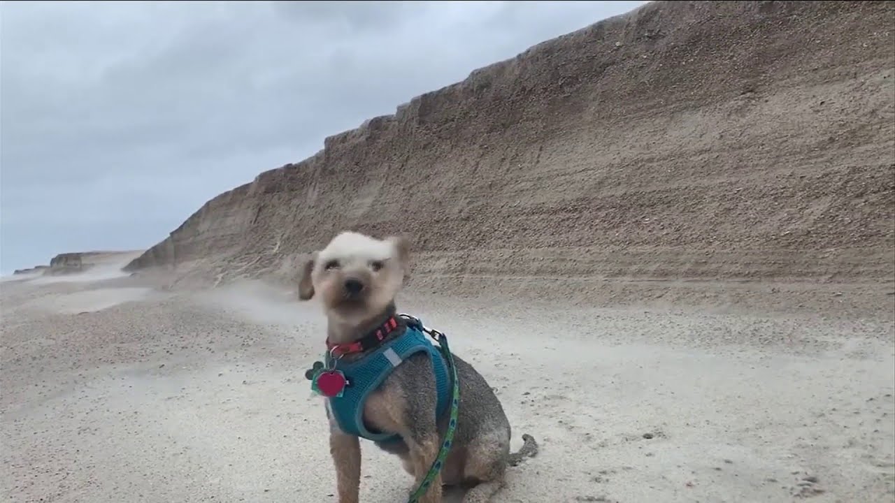 Nor'easter brings dangerous conditions - YouTube