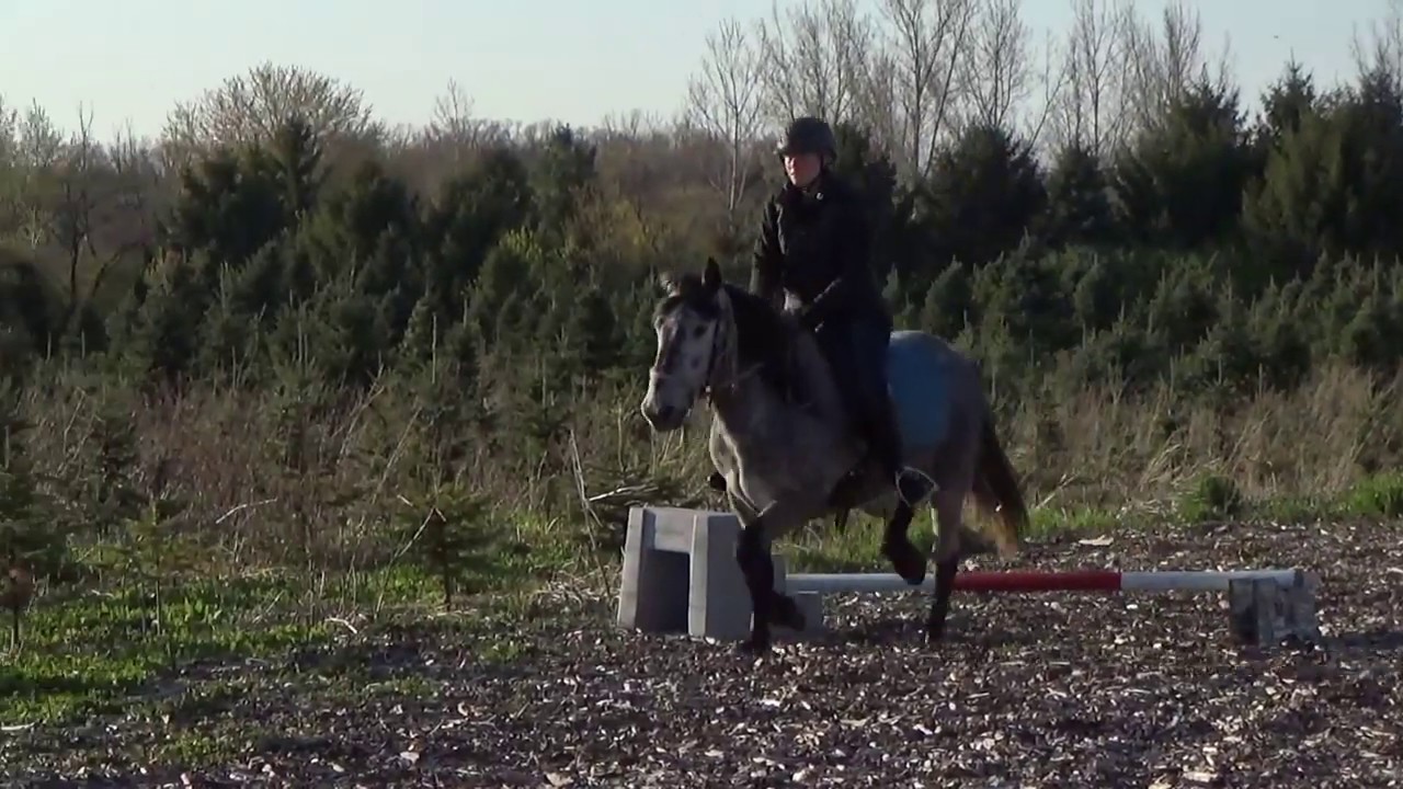 Annabelle and Jennifer Hinkel- April Online Horse Show - YouTube