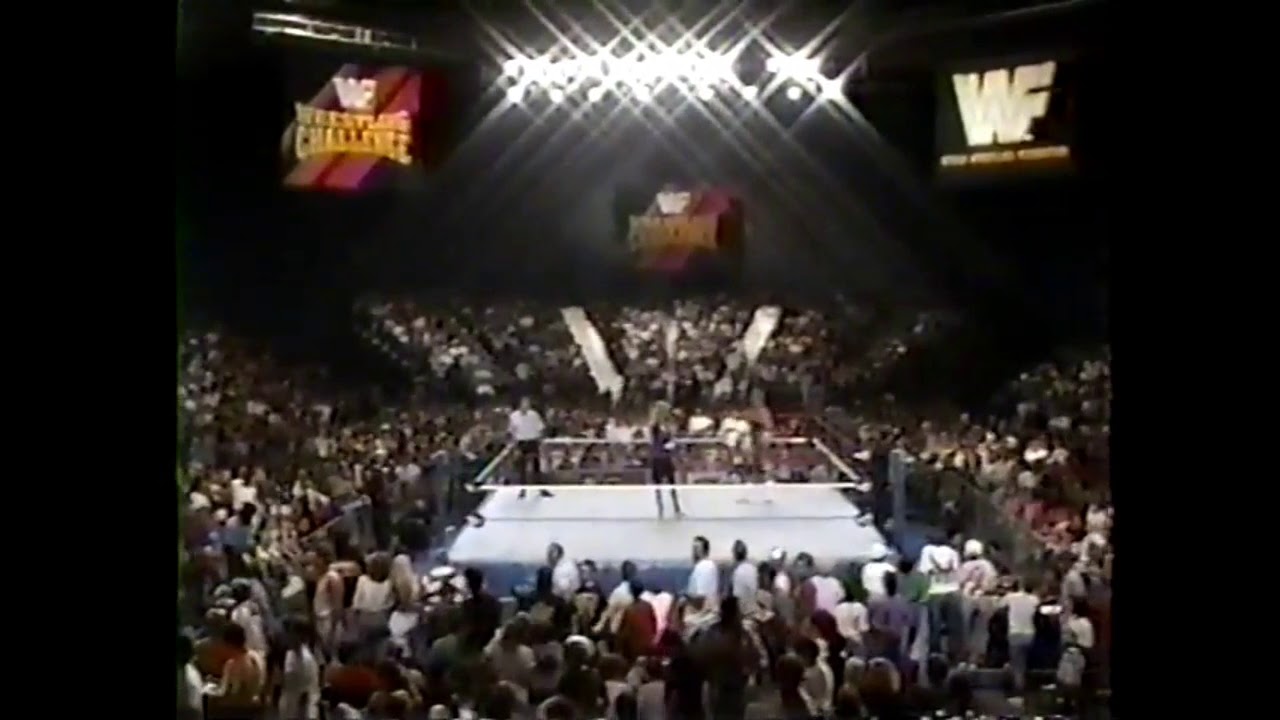 Ted DiBiase vs Jobber Chris Hawn WWF Wrestling Challenge 1991 - YouTube