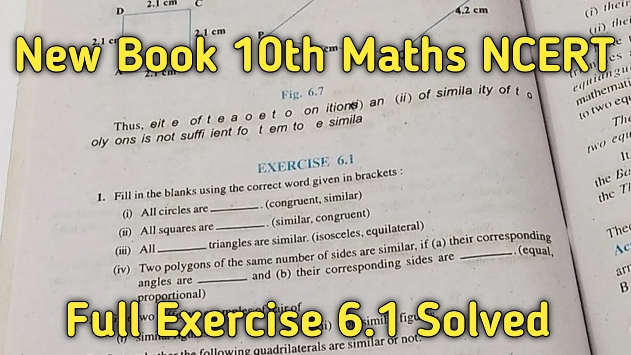 Class 10 Maths | Chapter 6 | Exercise 6.1 | Triangles | NCERT New Book ...