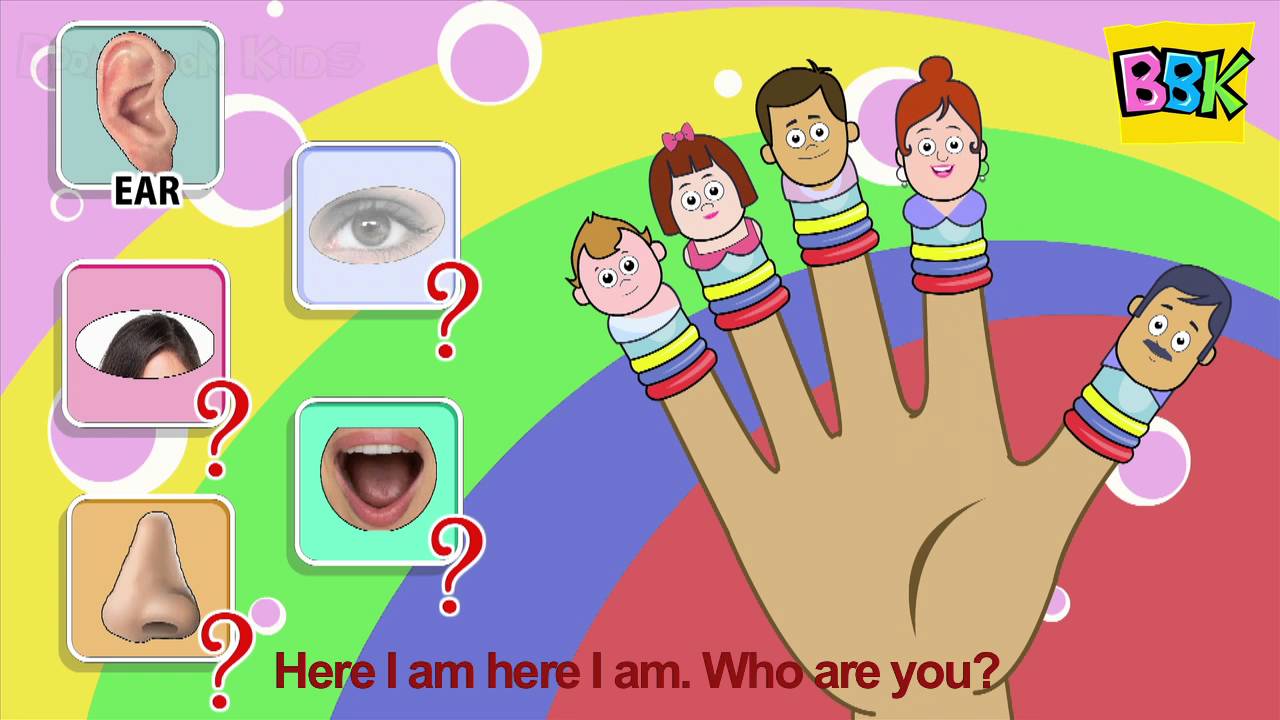 Body Parts Finger Family | Part 1 | Nursery Rhymes For Kids | English ...