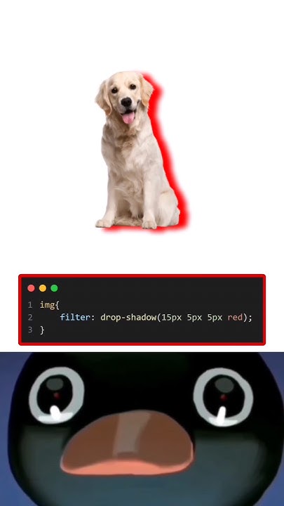 CSS Tricks: How to Add Shadow in Images for a Professional Look #Shorts #image #shadow - YouTube