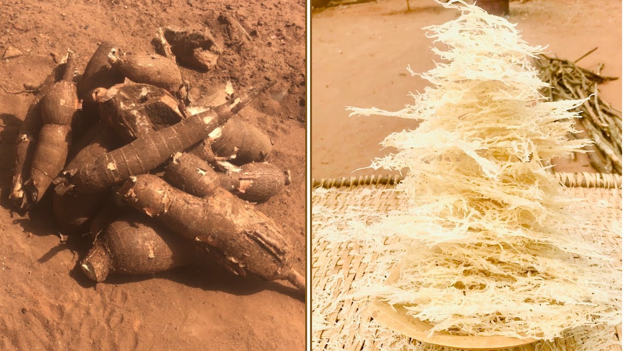 STEP BY STEP PROCESSING OF ABACHA/AKPU- TRADITIONAL WAY OF MAKING ...