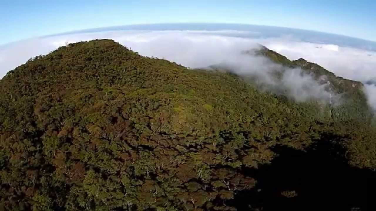 Mount. Trusmadi - YouTube