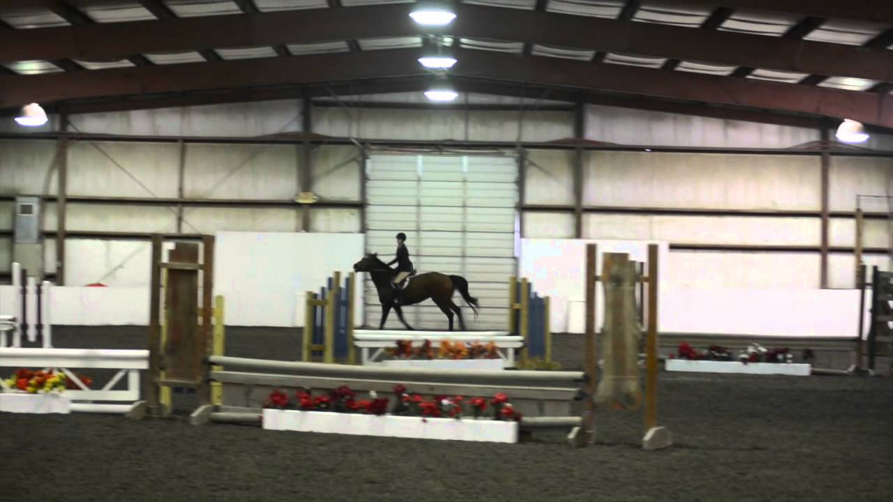 Hopeful Hunter Over Fences - YouTube
