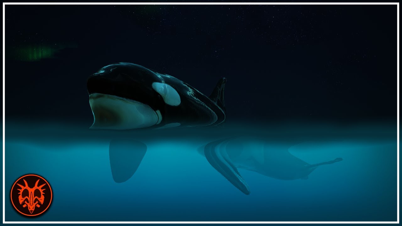 ORCA, TYRANNOSAURUS AND MORE! | Path of Titans Mods - YouTube