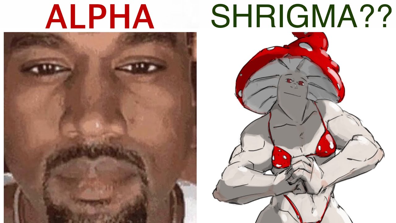 14 signs that YOU are a SHRIGMA Male (rarer than Alpha??) - YouTube