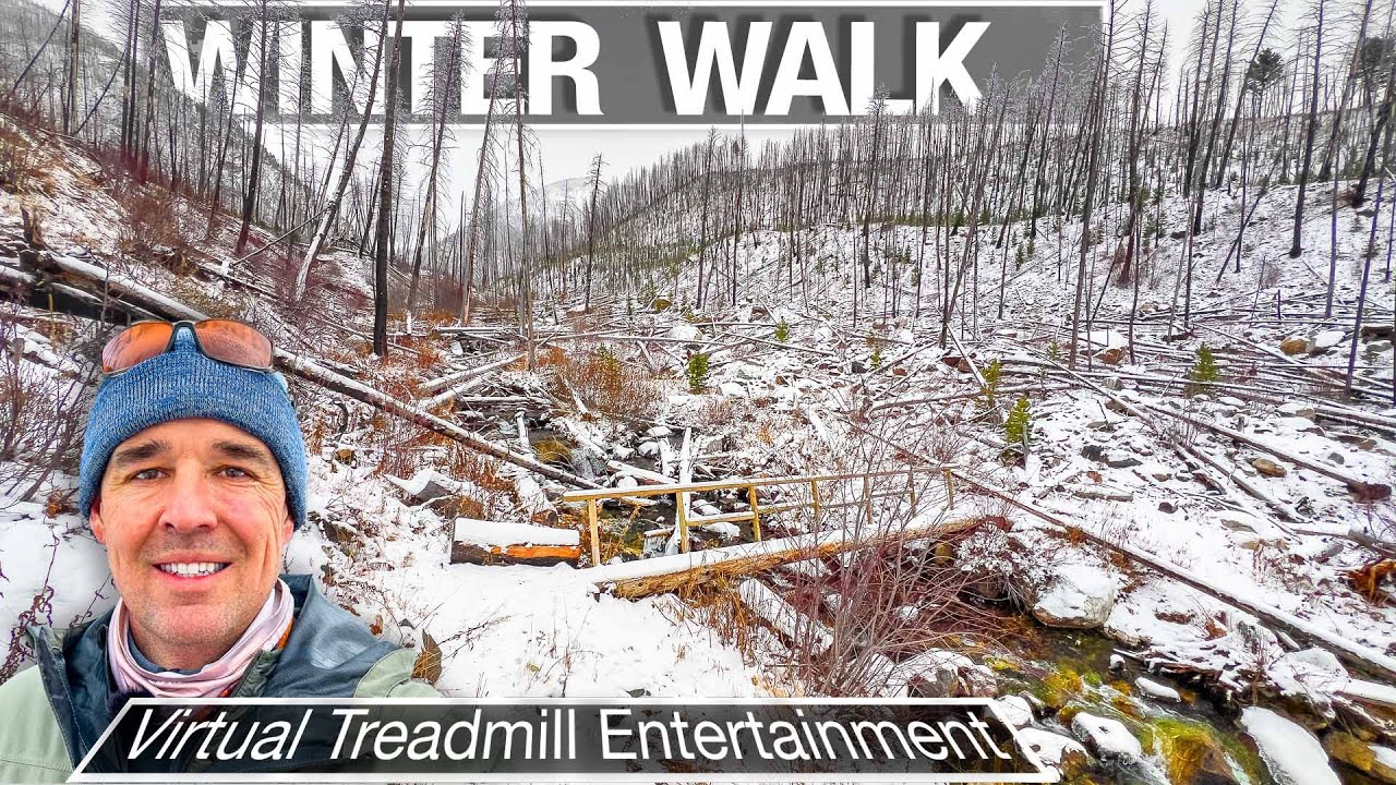 Winter Virtual Nature Walk for Treadmill - Deep Creek in Paradise ...