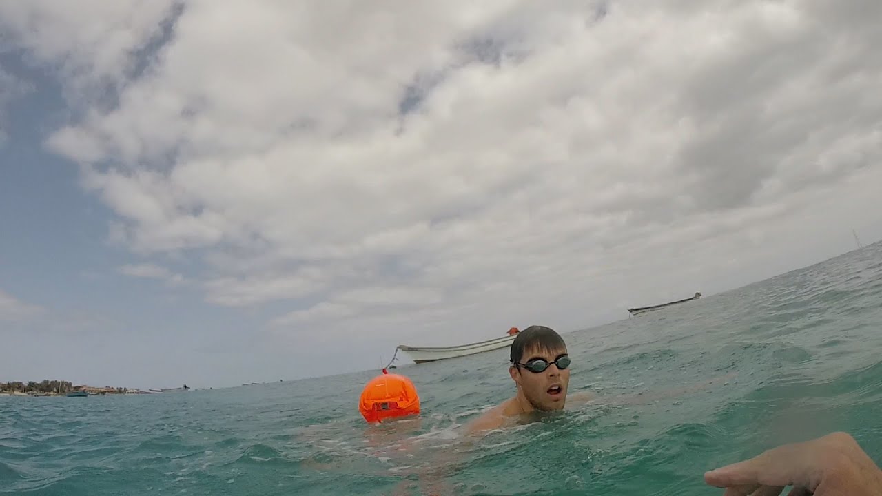 Man Swimming In Ocean