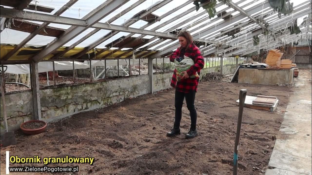 Jak przygotować ziemię w szklarni pod uprawę pomidorów i papryki - YouTube