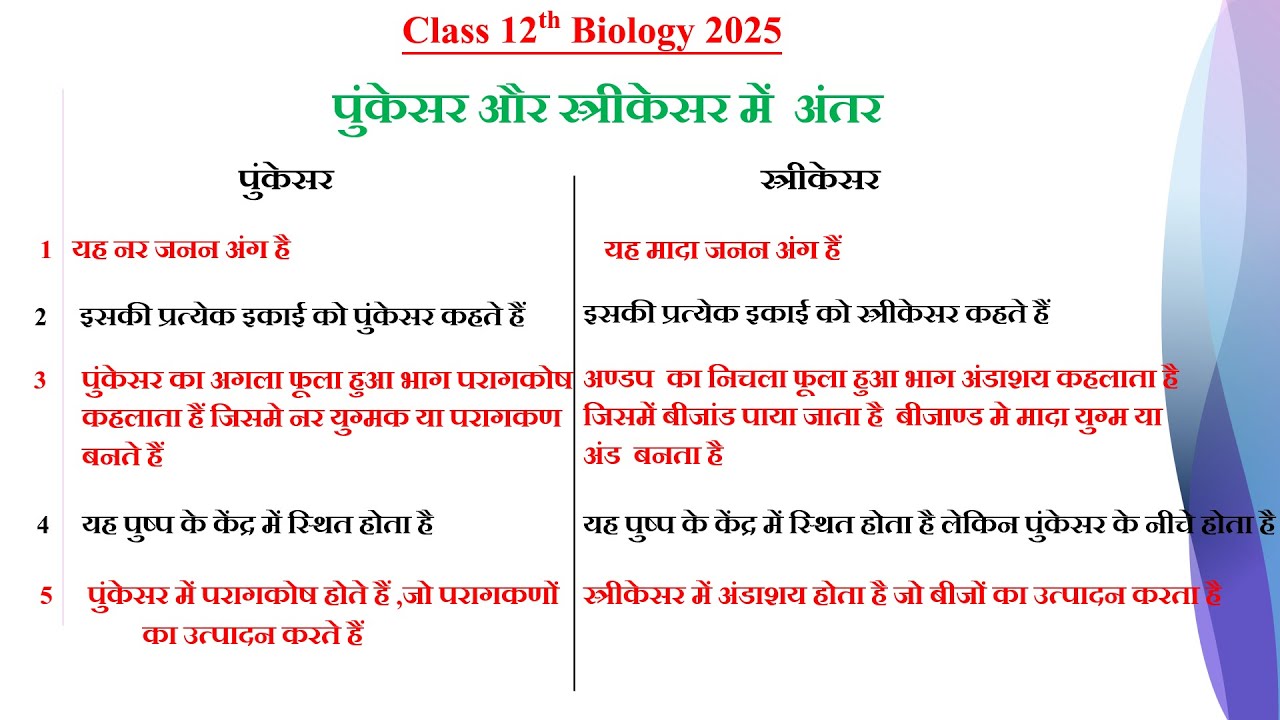 पुंकेसर और स्त्रीकेसर में अंतर लिखें/punkesar aur strikesar mein antar ...