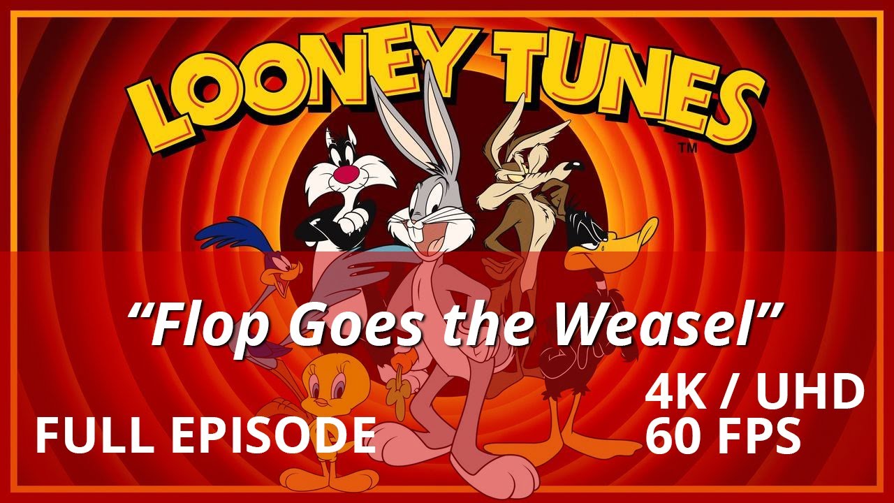 LOONEY TUNES: FLOP GOES THE WEASEL - Cartoon - 4K / UHD 60 FPS ...