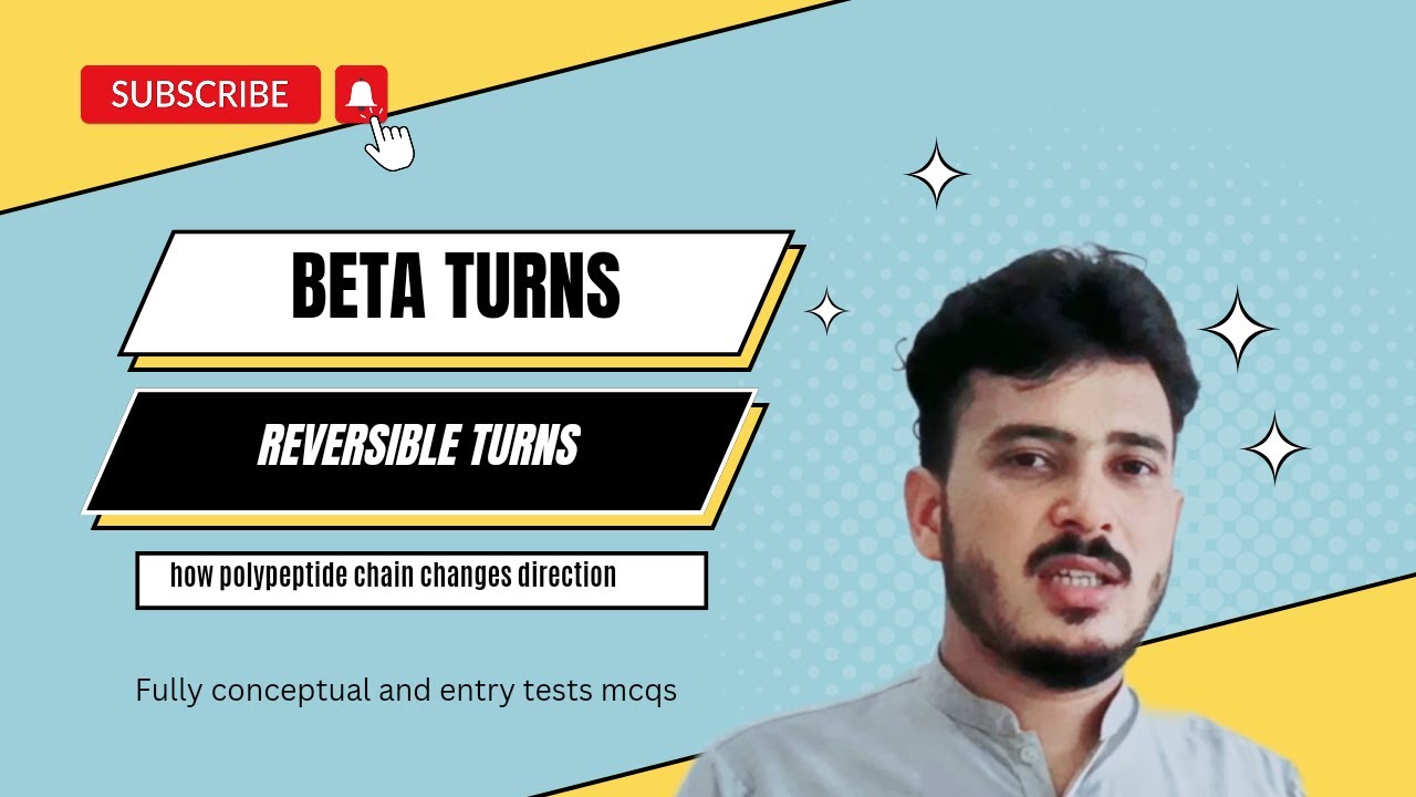 What are beta turns| reverse turns|beta bends in secondary structure of ...