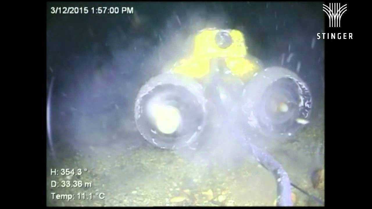 Underwater beauty by Stinger Technology AS - YouTube