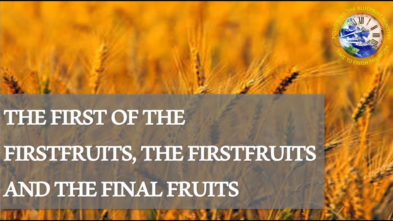 The First Fruit Of The Firstfruits, The Firstfruits and The Final ...