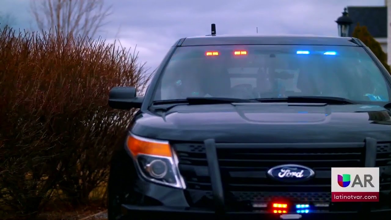 App en LRPD con herramientas en Español - YouTube