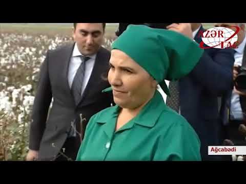 Ağcabədinin Hindarx qəsəbəsində pambıq sahəsinə baxış