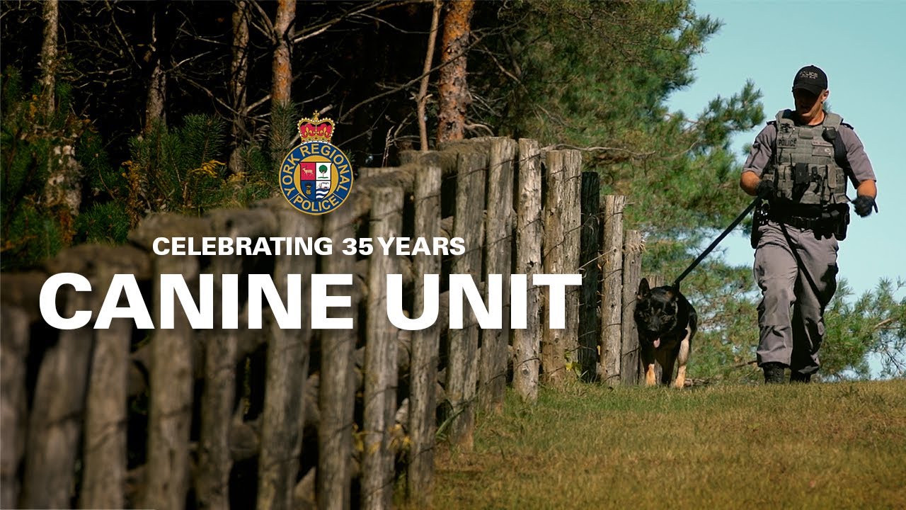 Celebrating 35 Years of the YRP Canine Unit - YouTube