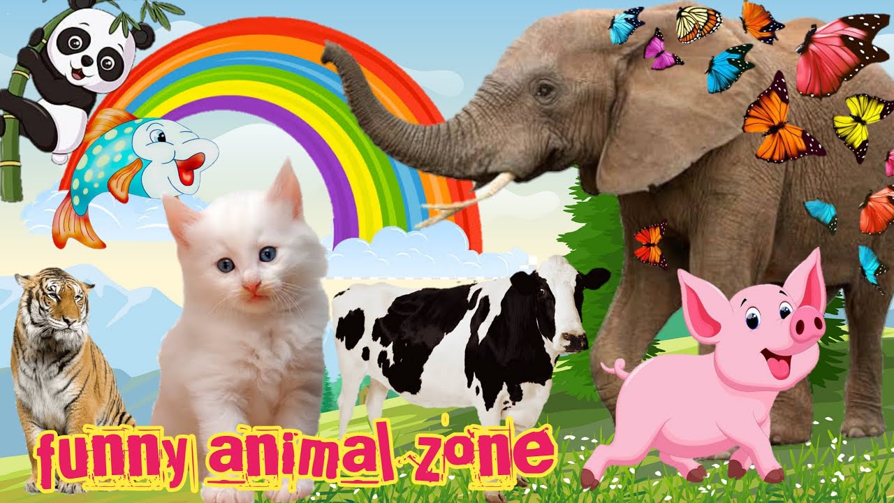 Funny Animal Sounds: Cows, Chickens, Owls, Dogs, Dinosaurs, Elephants ...